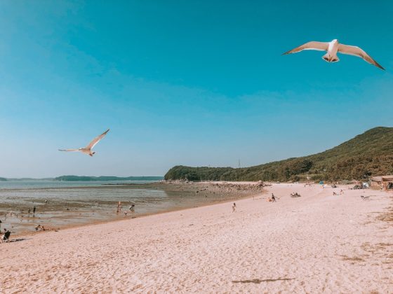 Korea’s best islands — 7 best islands in Korea & most famous island in ...