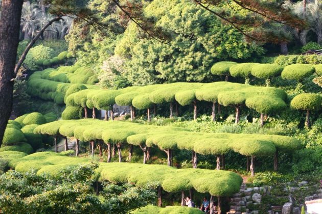 Korea’s best islands — 7 best islands in Korea & most famous island in ...