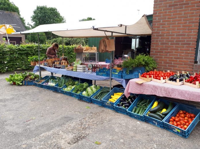 Utrecht travel blog — The fullest Utrecht guide for first-timers ...