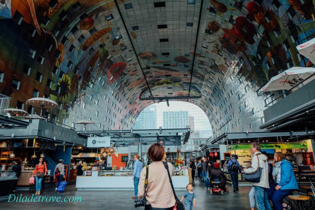 Rotterdam travel blog — The fullest Rotterdam travel guide for first-timers - Living + Nomads ...