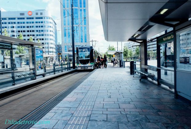 Delft Gate Building Rotterdam - Living + Nomads – Travel tips, Guides ...