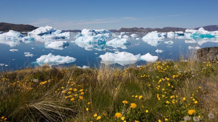 Greenland travel blog — The fullest Greenland travel guide for first ...