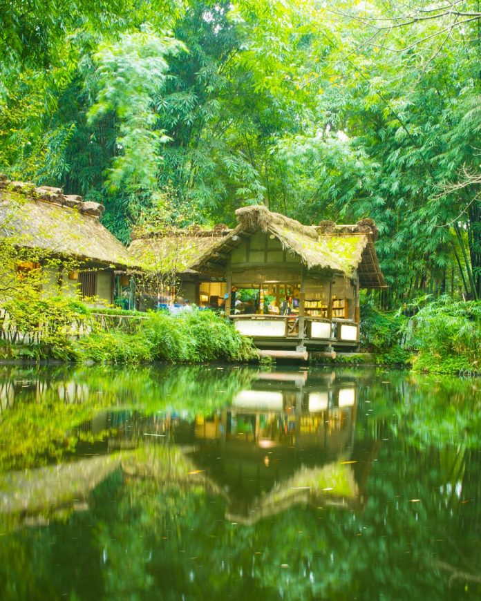 Where to go in Chengdu? — 9 top, must-go & best places to visit in ...