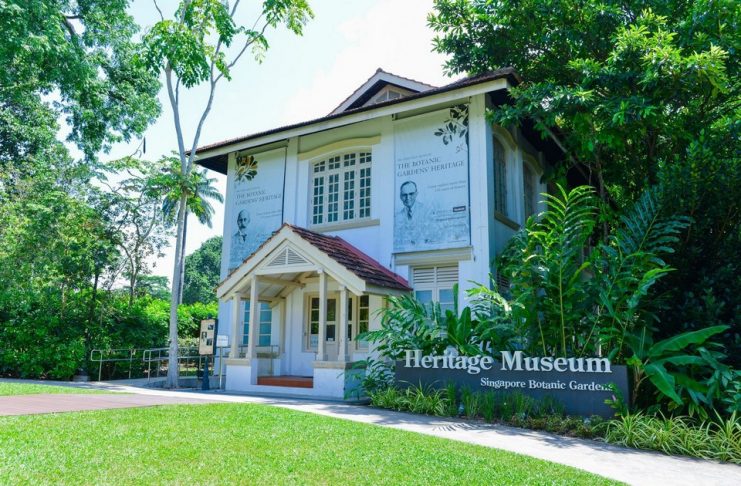 Stroll in OCBC Arboretum, Singapore Botanic Gardens - Living + Nomads ...