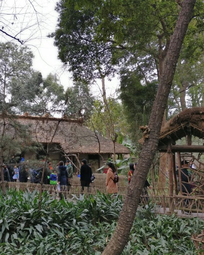 Top things to do in Chengdu — 26+ must-see & best things to do in ...