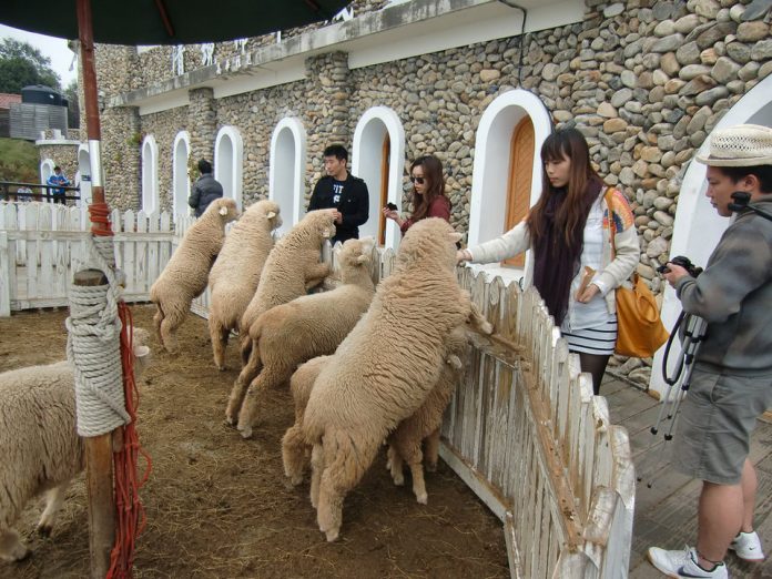 Map of Cingjing farm, Taiwin - Living + Nomads – Travel tips, Guides ...
