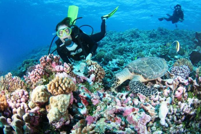 15 best diving spots in South East Asia & Asia - Living + Nomads ...