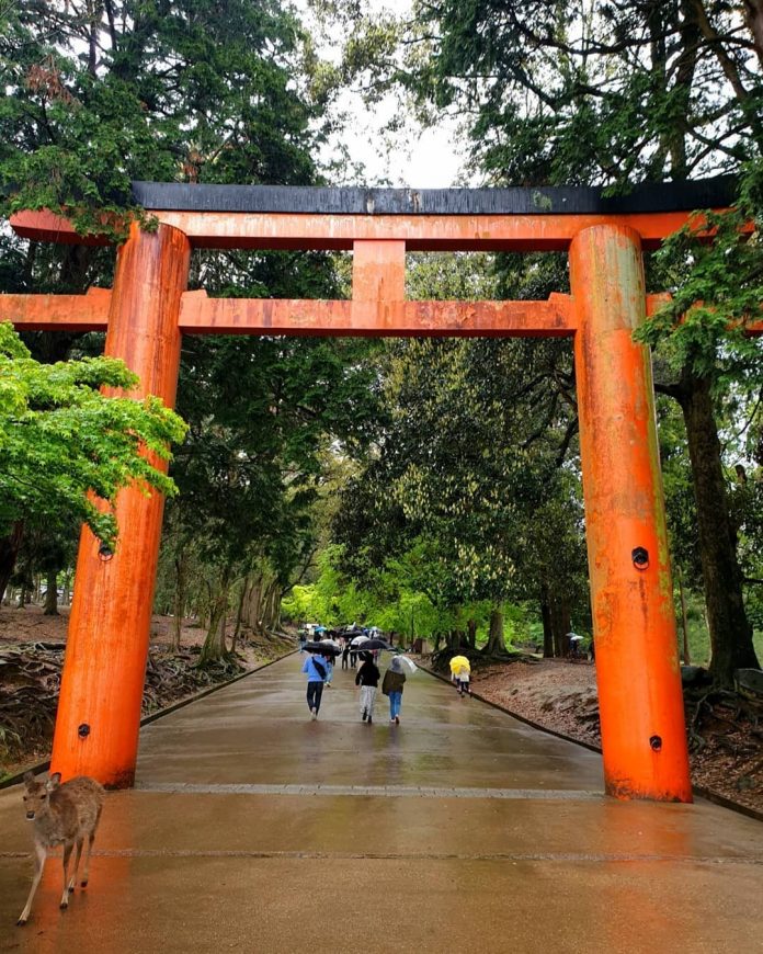 Nara travel blog — The fullest Nara travel guide for first-timers ...