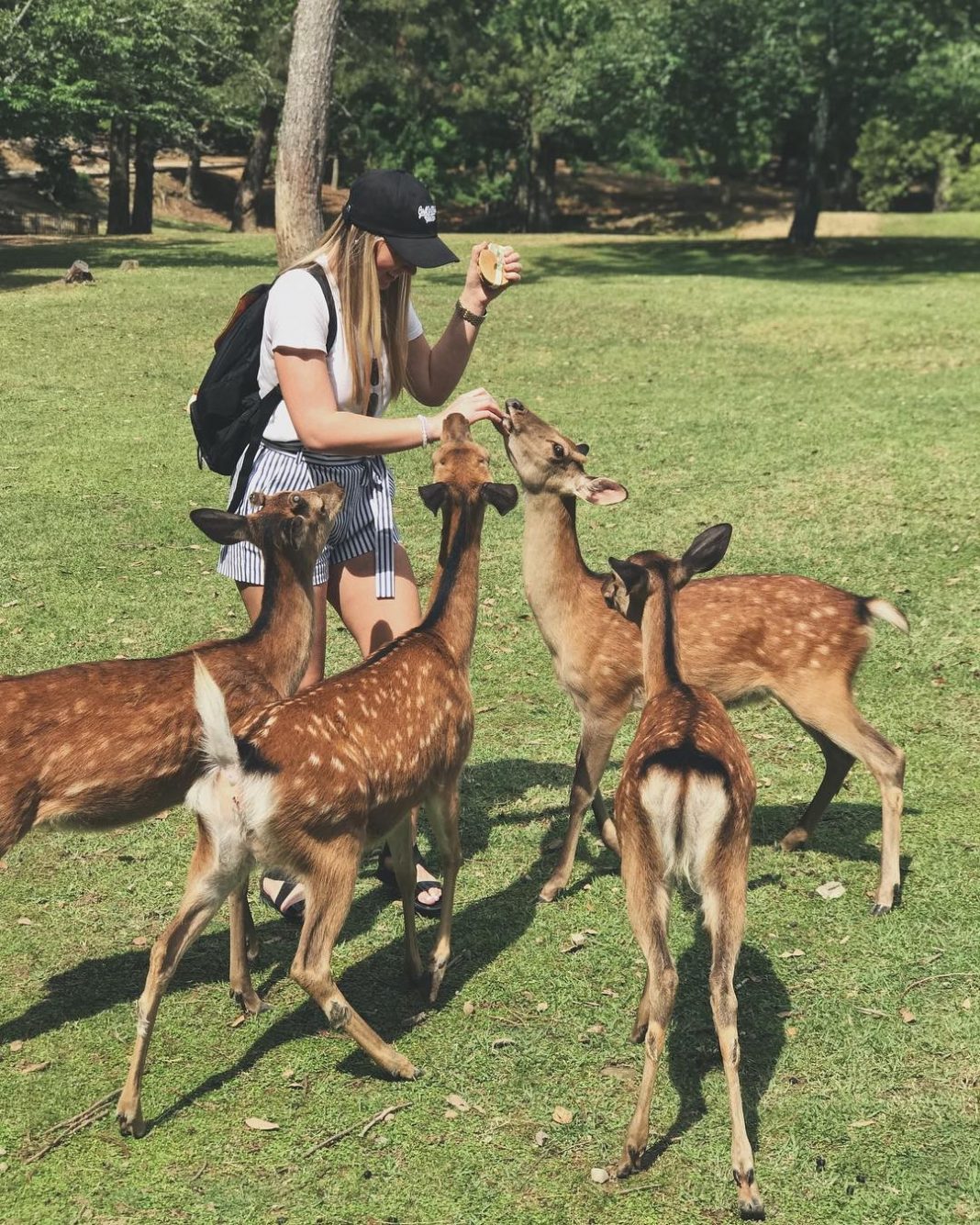 Nara travel blog — The fullest Nara travel guide for first-timers ...