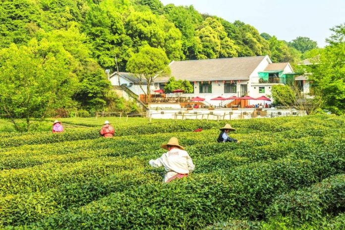 Where to visit in Hangzhou: 15+ Must visit places in Hangzhou you ...