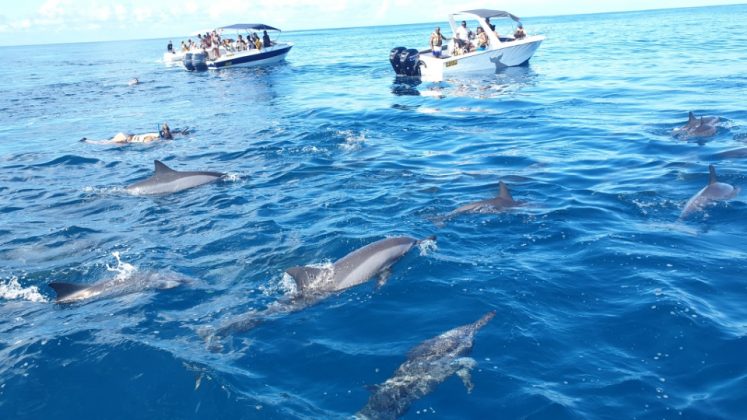 Mauritius travel blog — The fullest Mauritius travel guide for first ...
