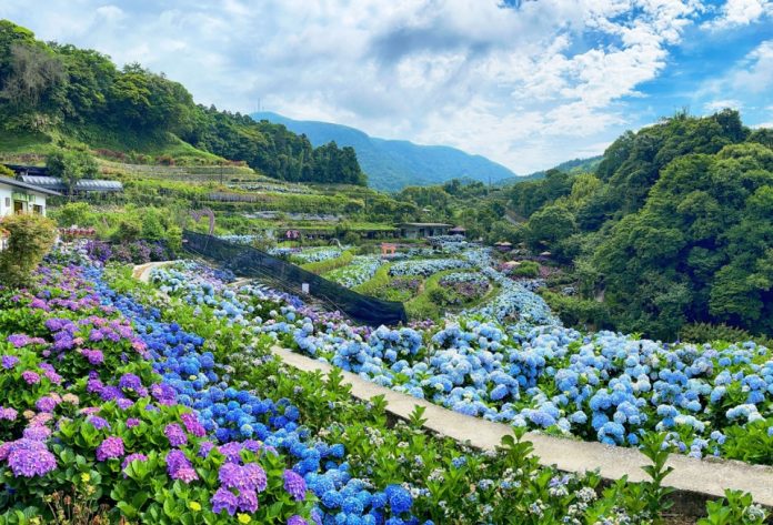 5 days in Taiwan itinerary: What to do in Taiwan for 5 days? - Living ...