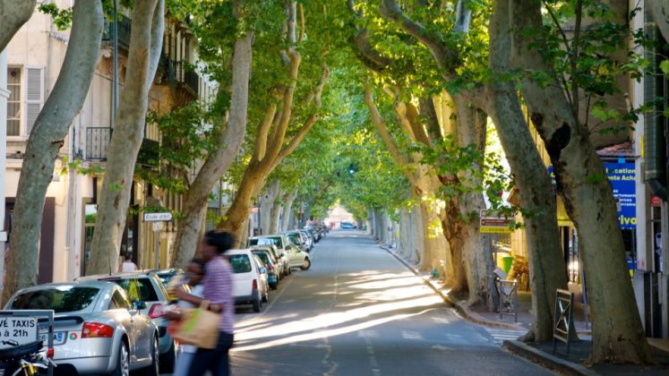 Avignon travel blog — The fullest Avignon travel guide guide for first ...