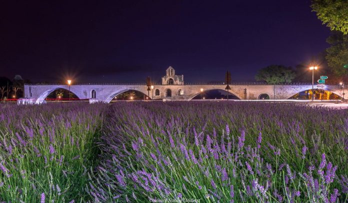 Avignon travel blog — The fullest Avignon travel guide guide for first ...