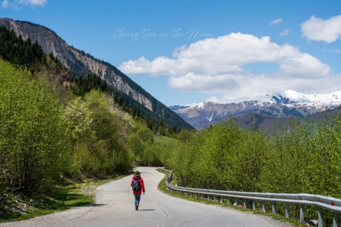 Georgia travel itinerary 10 days — How to pend 10 days in Georgia ...