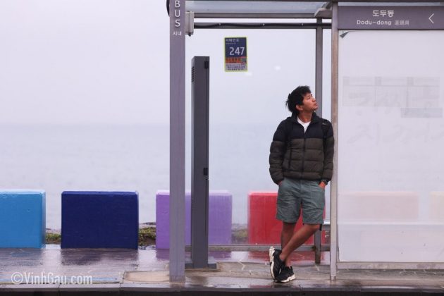 Aewol Coastal Walk jeju - Living + Nomads – Travel tips, Guides, News ...