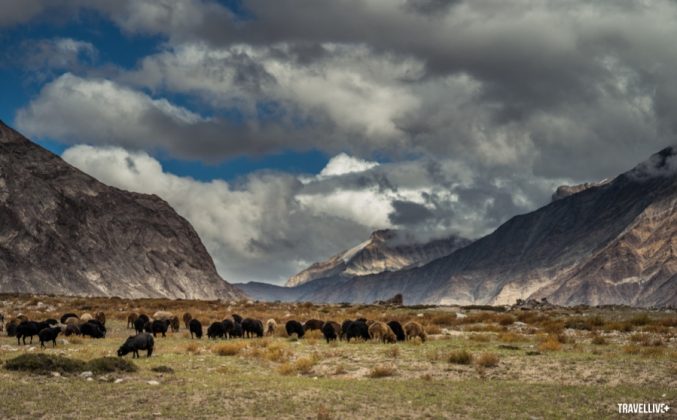 Zanskar Ladakh travel blog — The ultimate guide with top things to do ...