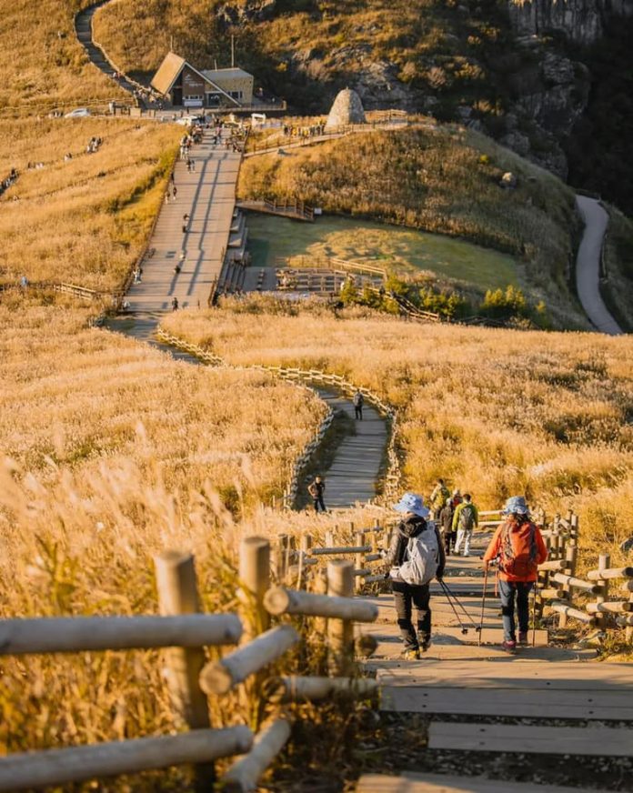 Ulsan travel blog — The fullest Ulsan travel guide for first-timers ...