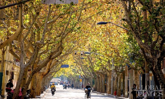 Shanghai travel blog — The fullest Shanghai travel guide for first ...