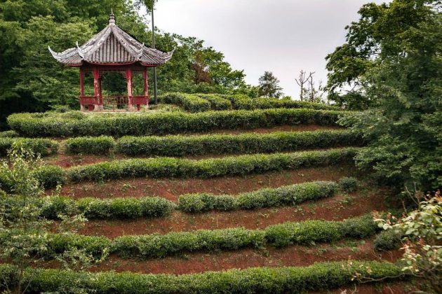 Top things to do in Chengdu — 26+ must-see & best things to do in ...