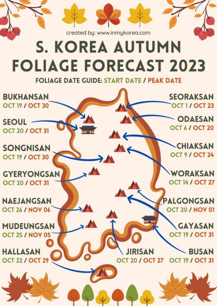 Jeju fall foliage forecast 2024 — The timeframe & 6+ best places to ...