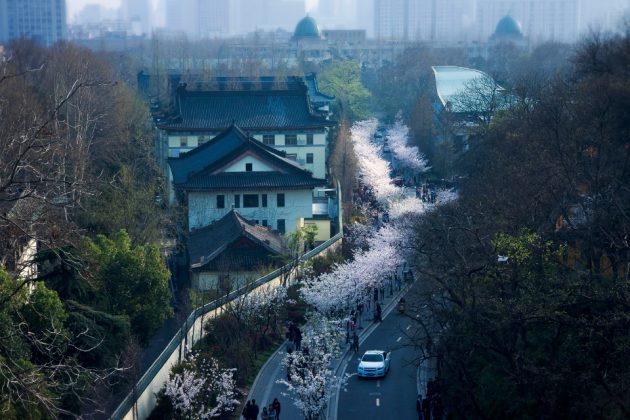 Nanjing travel blog — The fullest Nanjing travel guide for first-timers ...