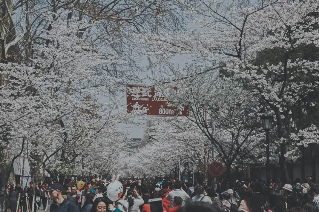 Nanjing travel blog — The fullest Nanjing travel guide for first-timers ...