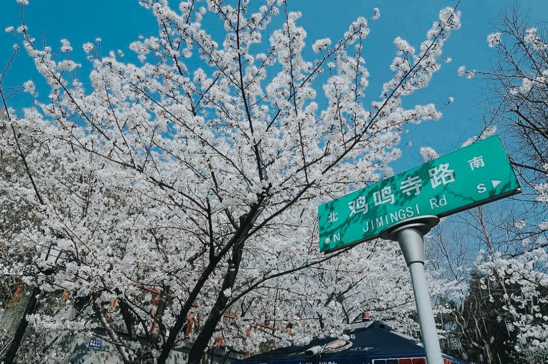 Nanjing travel blog — The fullest Nanjing travel guide for first-timers ...