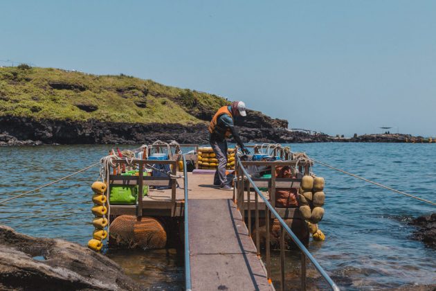 Udo island blog — 7+ what to do & best things to do in Udo island, Jeju ...