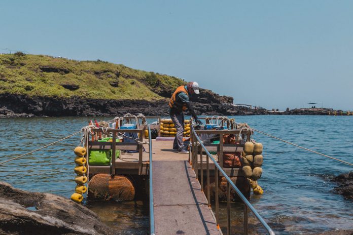 Udo island blog — 7+ what to do & best things to do in Udo island, Jeju ...