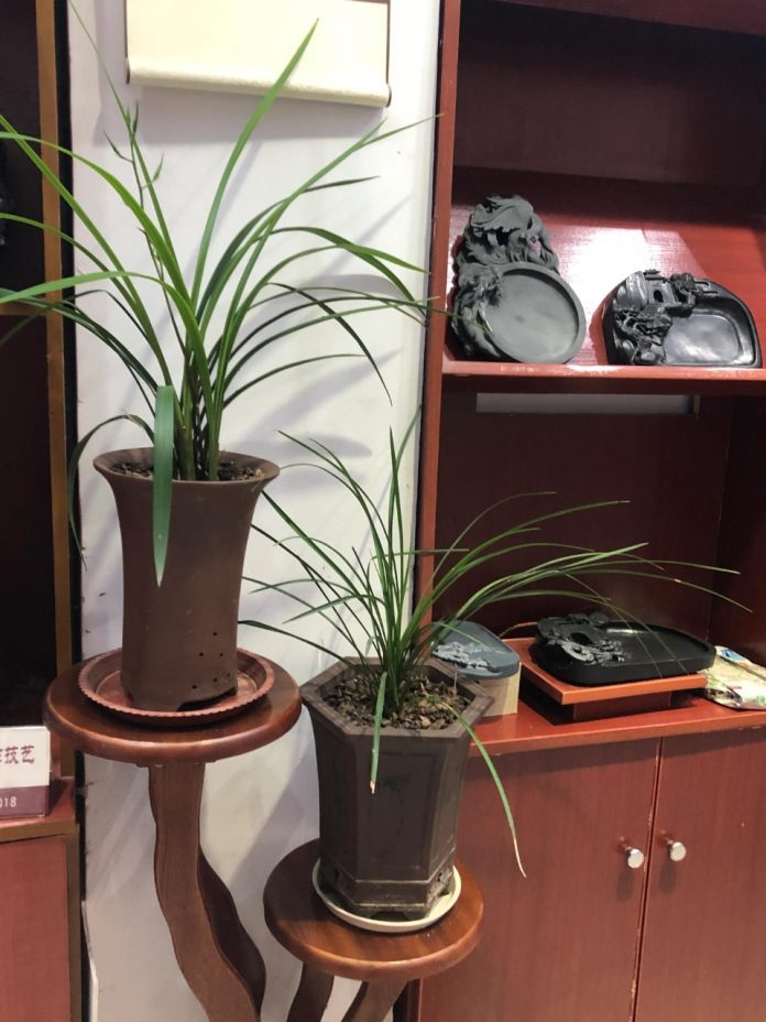 What to buy in Chongqing? — 9+ must-buy souvenirs, best things to buy ...