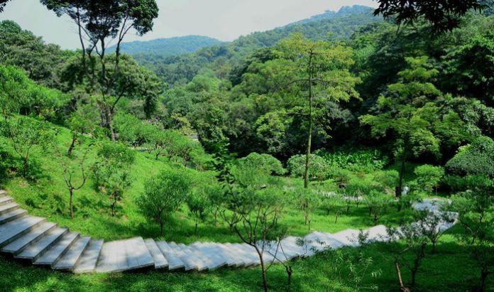 15+ must-see & best places to visit in Guangzhou - Living + Nomads ...