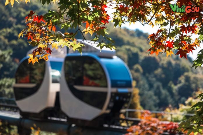 How to visit Korea in November: 12+ Top things to do & best places to ...