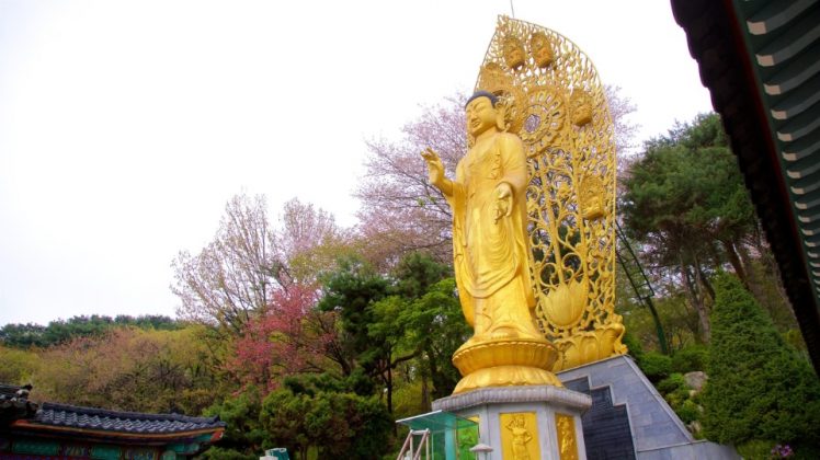 Suwon blog — The fullest Suwon travel guide for first-timers - Living ...