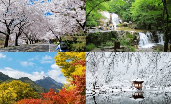 When is the best time to visit South Korea? — The best, worst ...