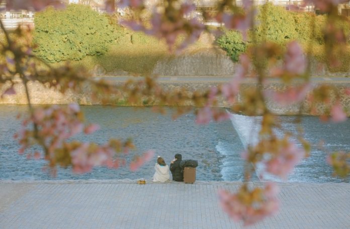 What is Hanami in Japan? The meaning & 9+ best places for Hanami in ...