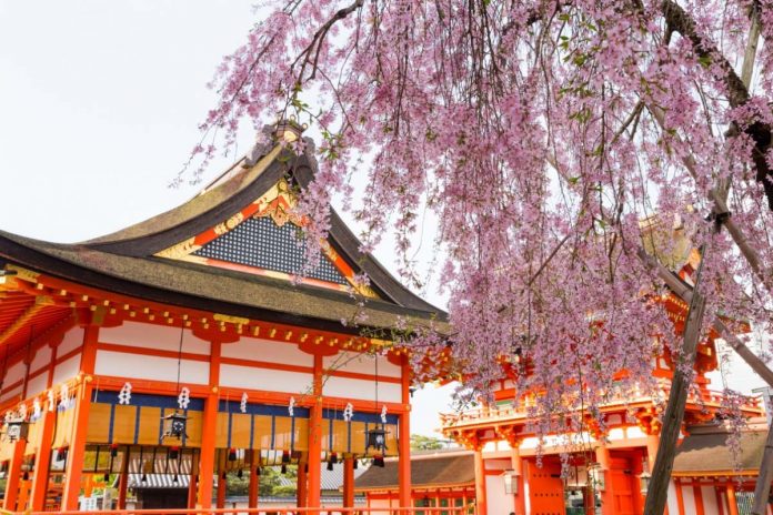 What is Hanami in Japan? The meaning & 9+ best places for Hanami in ...