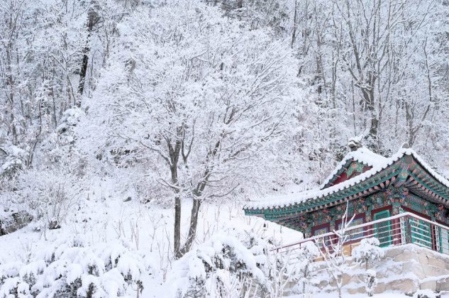 The Ultimate South Korea Travel Guide 2025: Best Time to Go, Must-try ...