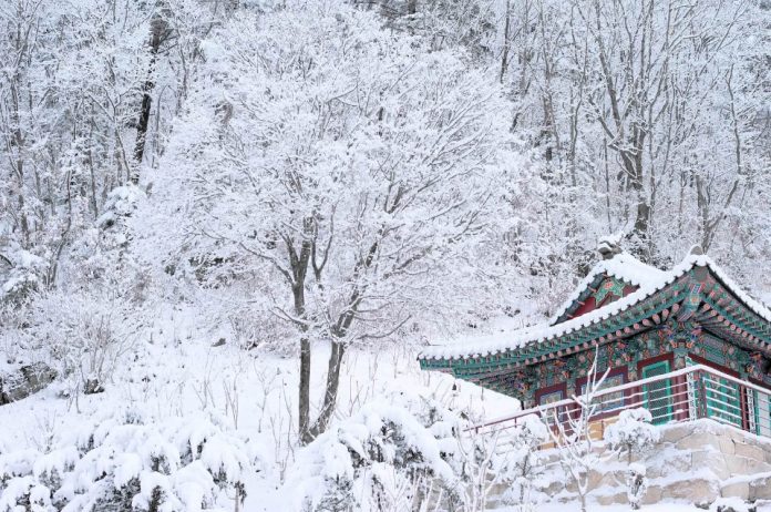 The Ultimate South Korea Travel Guide 2025: Best Time to Go, Must-try ...