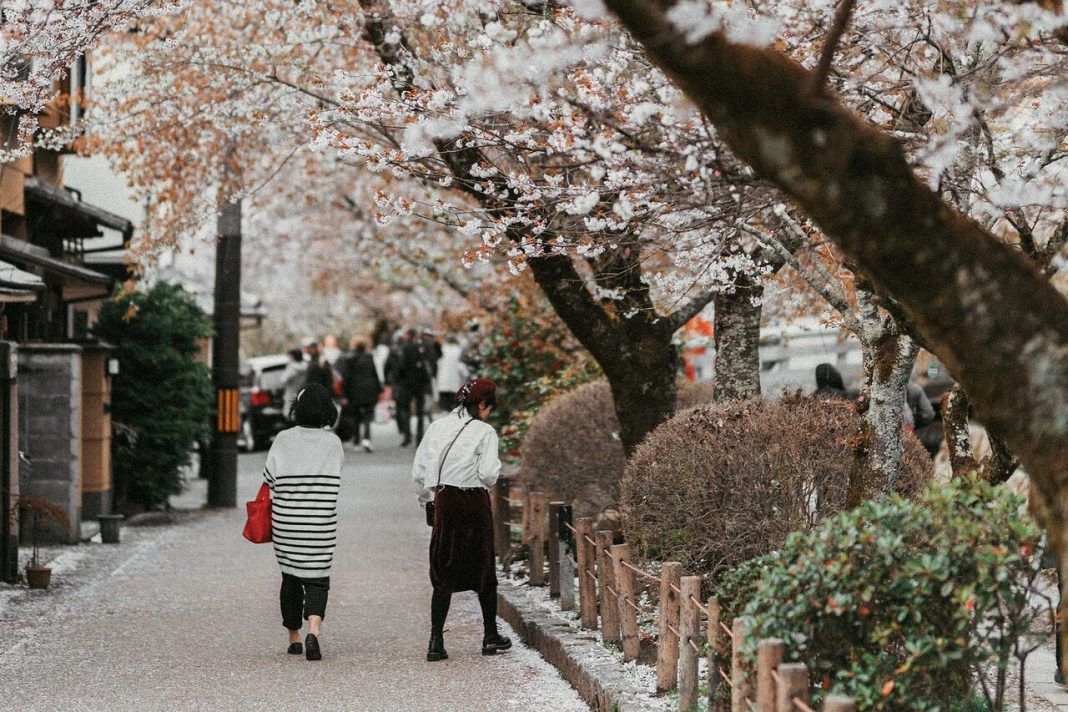 Kansai travel blog: The ultimate Kansai region travel guide (Top ...