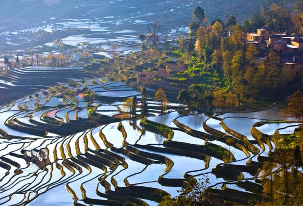 16+ Top Kunming attractions & must-see places in Kunming - Living ...