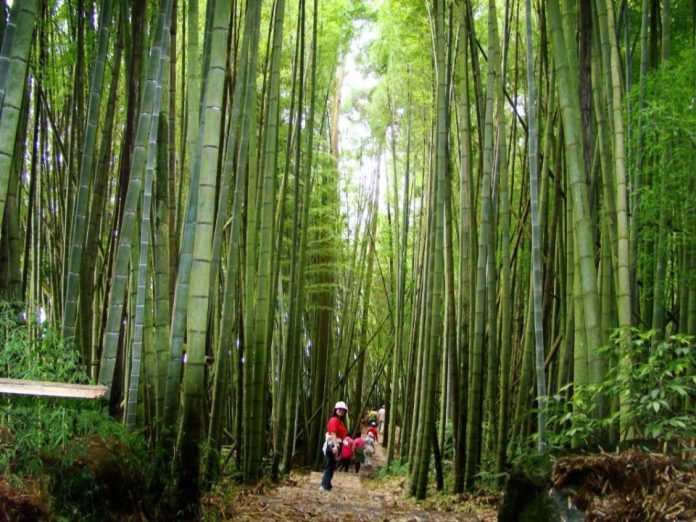 Explore Fenqihu old street — What to do in Fenqihu in a day trip ...