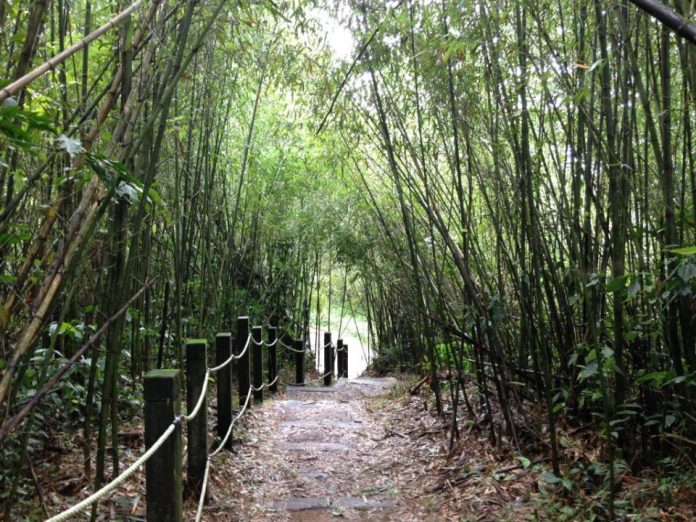 Explore Fenqihu old street — What to do in Fenqihu in a day trip ...