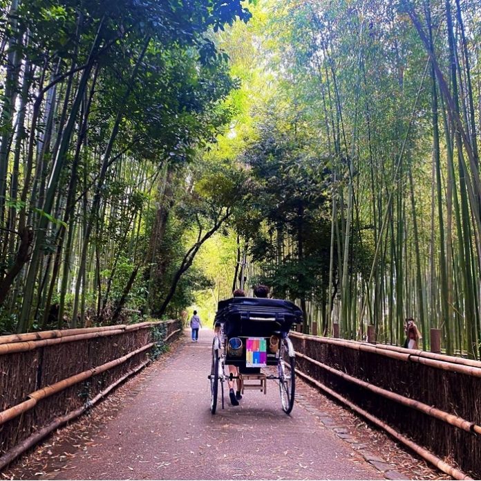 26+ most famous attractions & best places to visit in Kyoto - Living ...