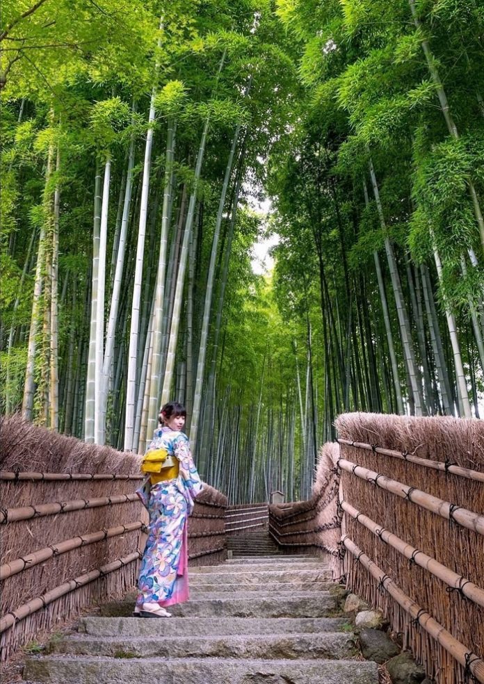 26+ most famous attractions & best places to visit in Kyoto - Living ...