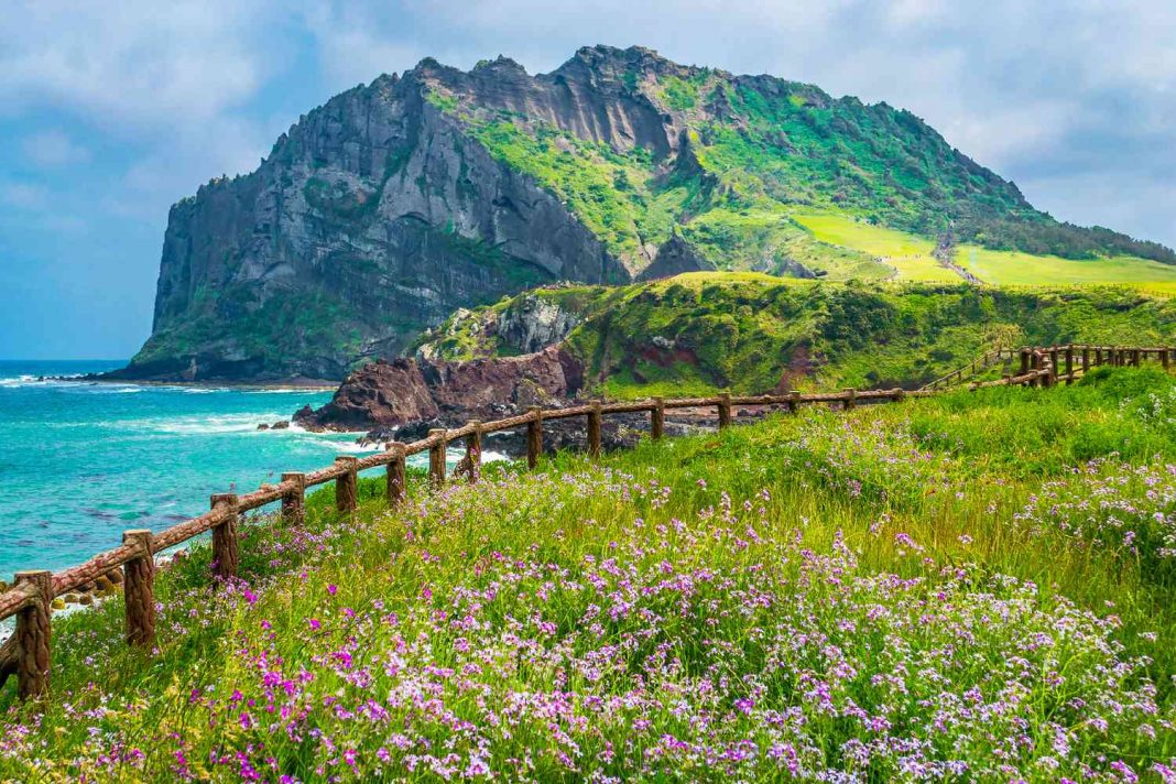 Explore Hallasan National Park. The fullest guide to the famous mount ...