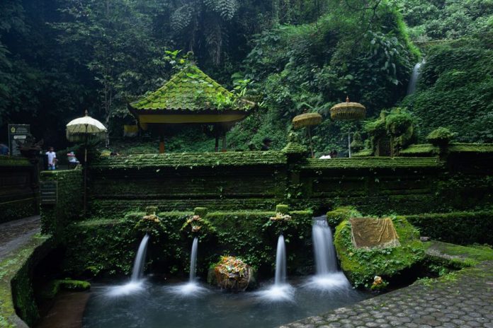 Must-do in Ubud. 12+ best things to do in Ubud, Bali - Living + Nomads ...