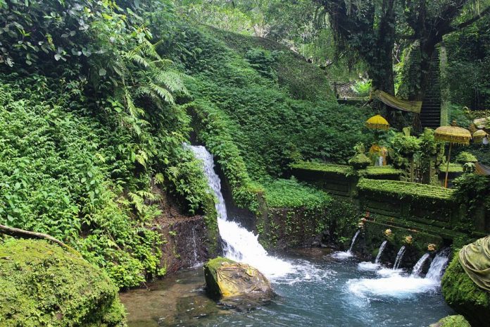 Must-do in Ubud. 12+ best things to do in Ubud, Bali - Living + Nomads ...