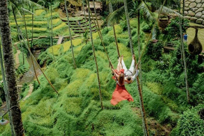alas harum swing ubud bali indonesia (12) - Living + Nomads – Travel ...