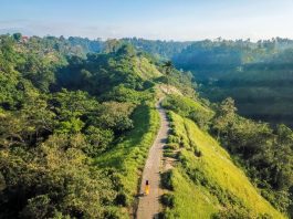 Must-do in Ubud. 12+ best things to do in Ubud, Bali - Living + Nomads ...
